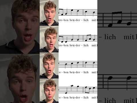 Deutschlandlied (National Anthem of Germany) - Virtual Choir