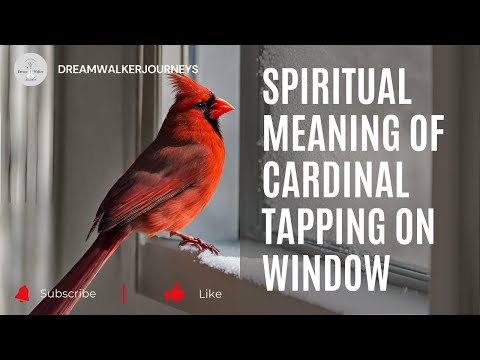 Spiritual meaning of cardinal tapping on window