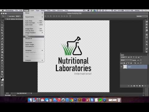 How to Quickly Convert A Color Logo (Transparent PNG) to One-Color in Photoshop
