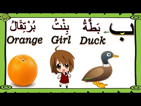 ARABIC ALPHABET WORDS AND MEANINGS - START WITH BAA | كلمات المبدوءة بالباء