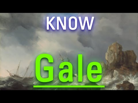 What is Gale? | How Does Gale Look? | How to Say Gale in English?