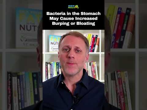 Bacteria in the Stomach May Cause Increased Burping or Bloating
