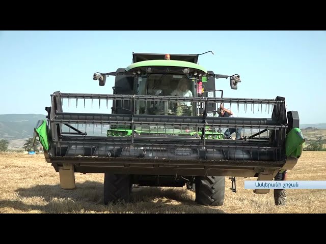 Artsakh grows its own wheat in self-reliance to provide food for the ...