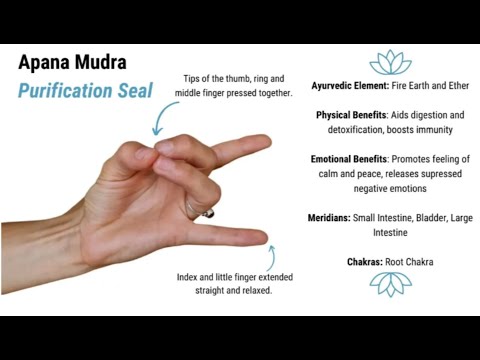 Apana Mudra for Digestive Health; Detoxification; Energy Flow; Negativity; Anxiety & StressReduction