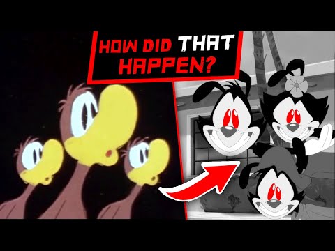 Animaniacs: The ACTUAL Truth Behind Main Сharacters Creation | Cartoon Junkies