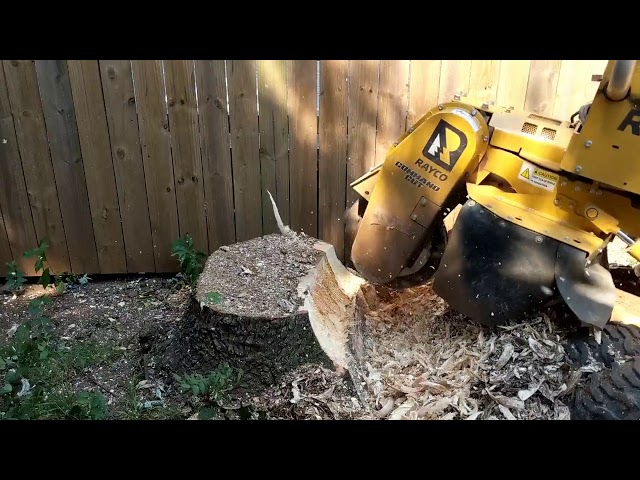 Stump Grinders Edge - Home