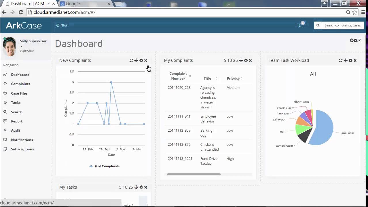 ArkCase   Customizing Your Dashboard