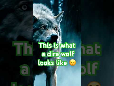 The Dire Wolf Is Back—And It Looks Like This 😲