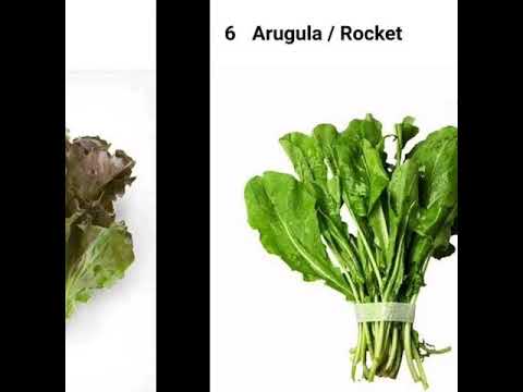 15 lettuce & name