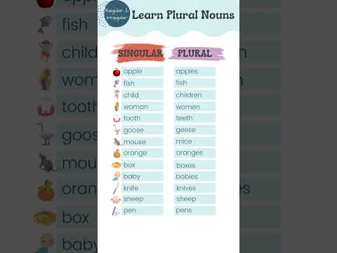 How to Master Plural Nouns in English: Discover the Patterns and Irregularities with Examples