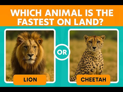 How Well Do You Know Animals? π¦ General Knowledge Trivia Quiz π§ π¬π° π | Bunny Bear Quiz