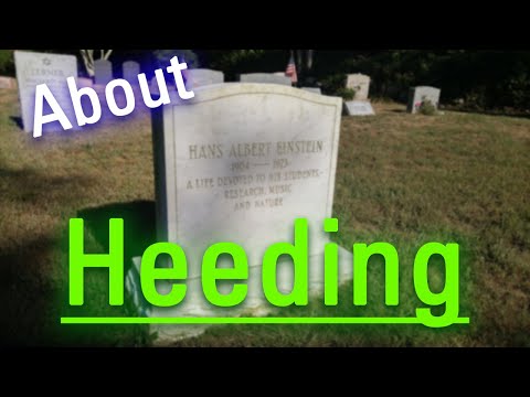 How Does Heeding Look? | How to Say Heeding in English? | What is Heeding?