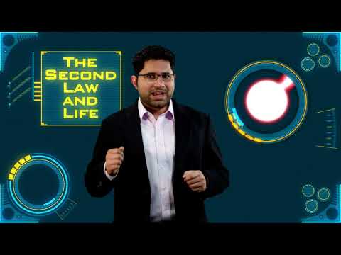 The Second Law of Thermodynamics and Life