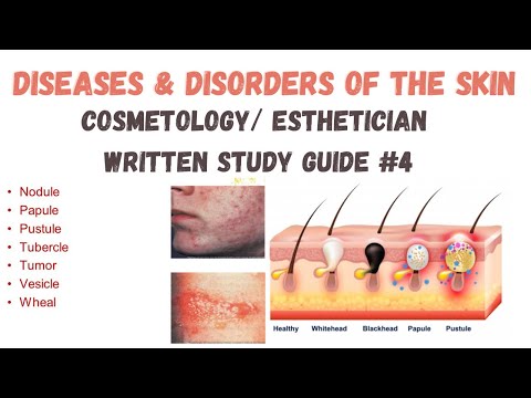 Cosmetology Written Study Guide #4 | Diseases and Disorders of the Skin
