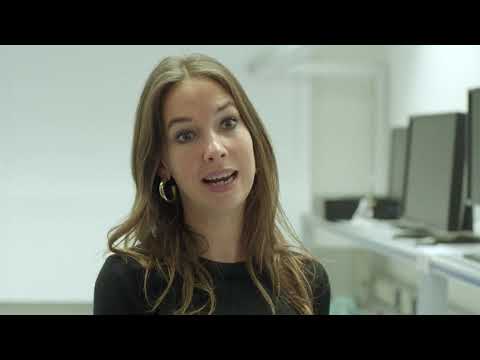 Team High Tech Crime (politie) – ToezichTTafel