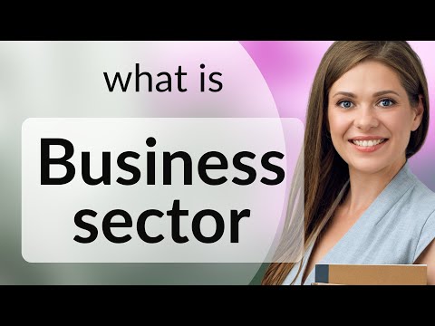 Business sector • what is BUSINESS SECTOR meaning