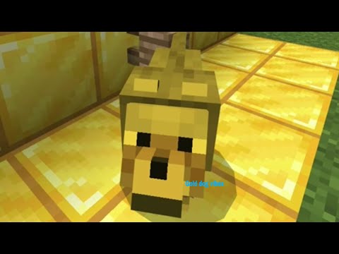 How to change the colour of dogs in minecraft (bedrock)
