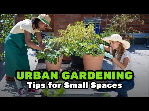 Urban Sustainable Gardening | How to Grow Food in Small Spaces!