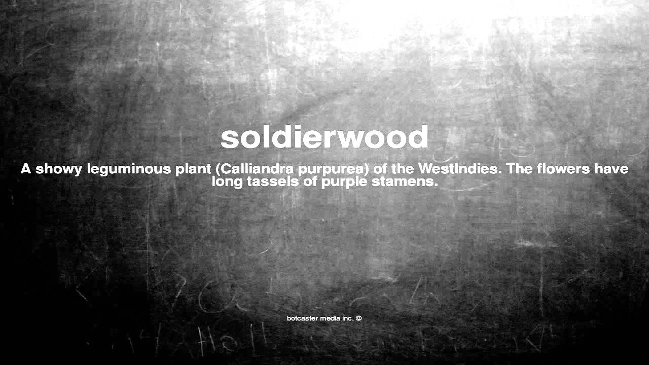 What does soldierwood mean