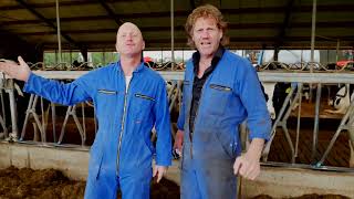 Whim Wimmie Watch HD Mp4 Video Download Free