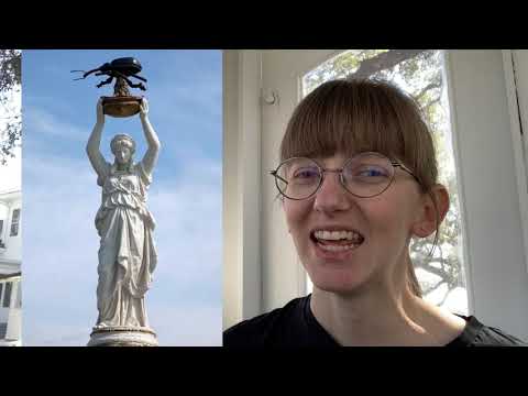 Plug into History: the Boll Weevil