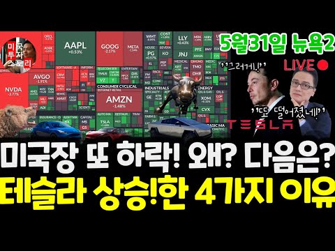 미국주식시황/오늘 왜 떨어졌나? 테슬라는 상승한 4가지 이유? 엔비디아는 왜? 구글 애플 아마존 메타 마이크로소프트 리비안 HPQ BBY 팔란티어 아이온큐 $tsla #tesla