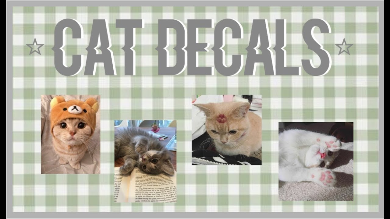 roblox cat decal id's