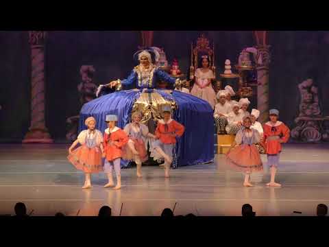 HRB Nutcracker 2017 Sizzle