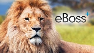 eBoss Recruitment Software | Reviews, Pricing & Demos - SoftwareAdvice AU