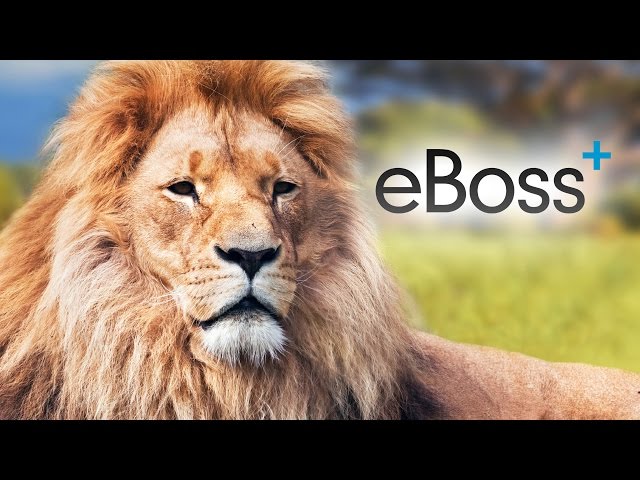 eBoss Recruitment Pricing, Reviews, & Features in 2022