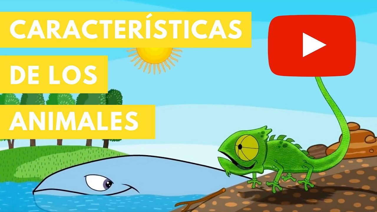 Características de los Animales | Camaleón