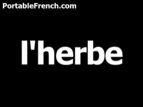 French word for grass is l'herbe
