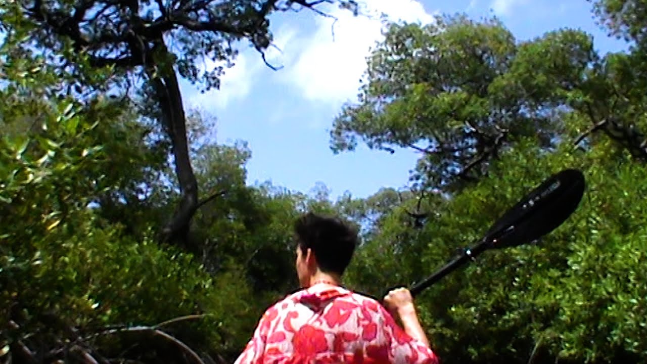 Jacob Collier - Fairytale Lullaby [Official Visualiser]