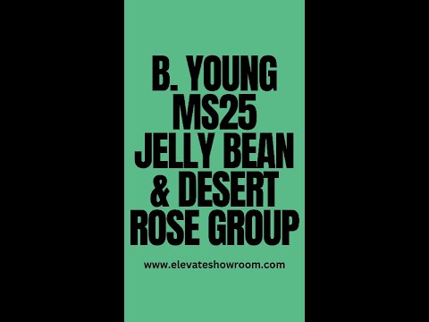 B. Young Main Spring Jelly Bean Group