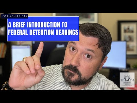 A BRIEF Introduction to Federal Detention Hearings