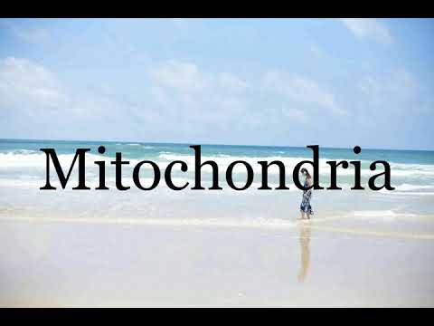 How To Pronounce Mitochondria🌈🌈🌈🌈🌈🌈Pronunciation Of Mitochondria