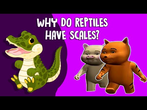 Why Do Reptiles Have Scales? - Facts about reptiles for kids