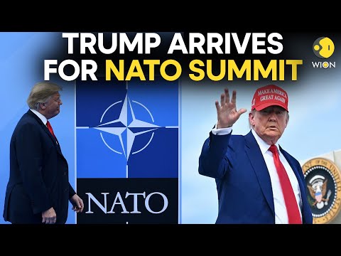 NATO Summit 2025 LIVE: Trump at NATO Summit in The Hague | WION LIVE