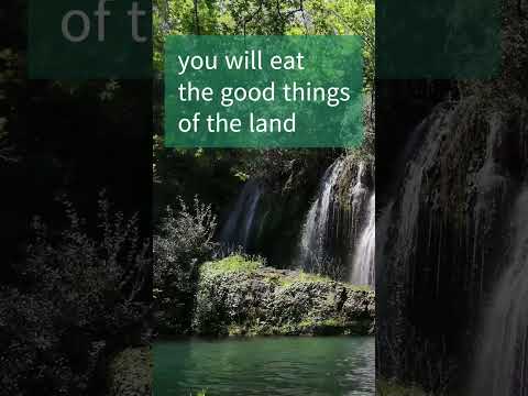 Isaiah 1:19 Daily Bible verse Jesus Christ #bibleverse #bible #jesus