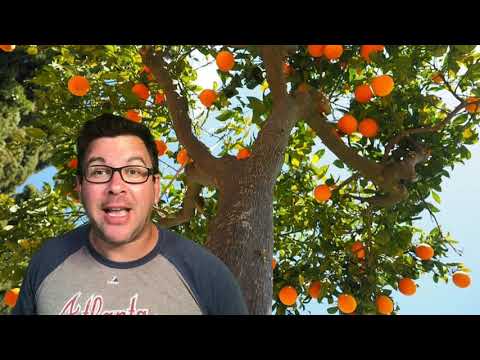 BIBLE STUDY July 8 2020 “The Vine and The Branches” JOHN 15