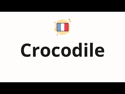 How to pronounce Crocodile (Crocodile in French)