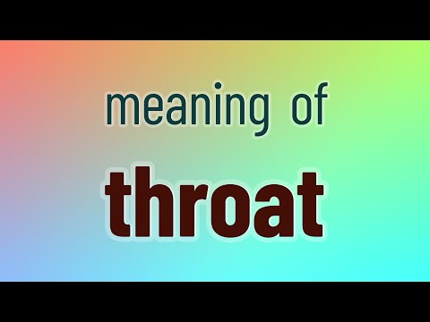 Throat - 78 English Vocabulary Flashcards
