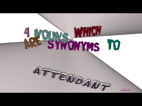 attendant - 5 nouns with the meaning of attendant (sentence examples)