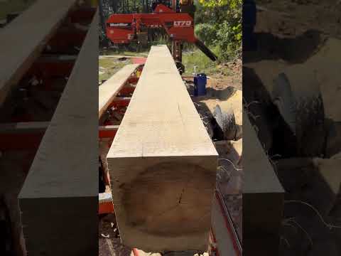 Poplar Lumber #poplarlumber #lumber #woodmizer
