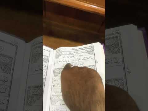 Surah Kausar #recitation #beautiful #peace #best #love #automobile #kamalwazaif