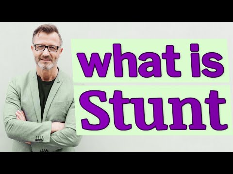 Stunt | Meaning of stunt