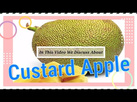 Custard Apple | Essay On Custard Apple Fruit | Essay Custard Apple | My Favorite Fruit Custard Apple