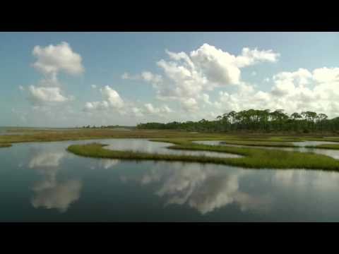 Marshes by the Mainland and Marsh Islands: Why the Difference Matter- In the Grass