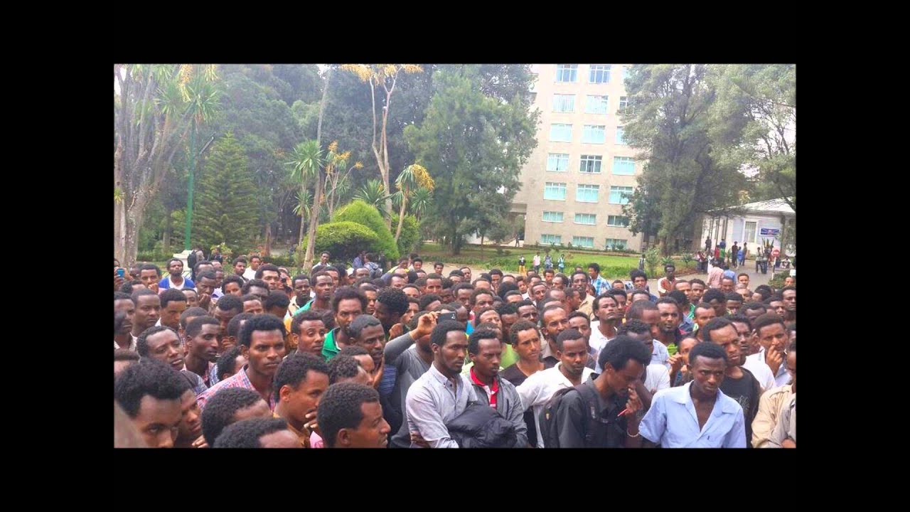 Kaasi Gowwaa Rafu !! Wallee Haaraa  Hawwisoo Qeerroo Bilisummaa Oromoo Sadaasa 1, 2014