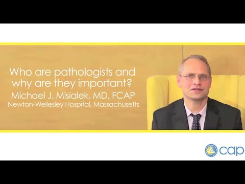 Who are Pathologists and Why are They Important to Your Health?